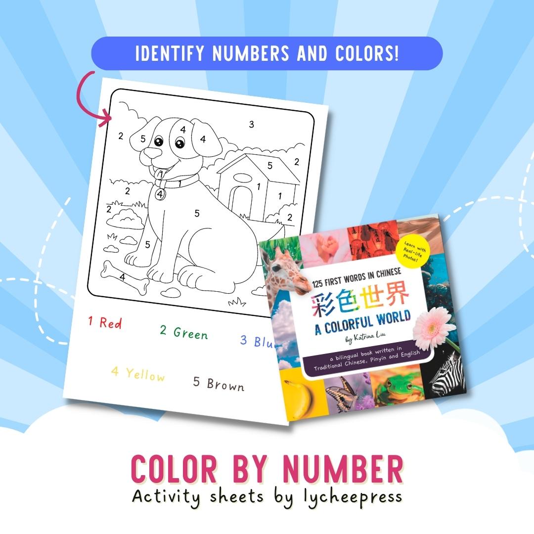 A Colorful World - Color By Number | Lychee Press
